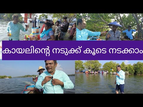 ഈ കായലിന്റെ നടുക്ക് കൂടെ നിങ്ങൾക്ക് നടക്കാം|Kollam sambrani Kodi Island ...