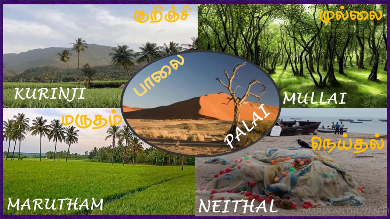 Kurinji mullai neithal palai Song YouTube kurinji-mullai-neithal-palai-song-youtube