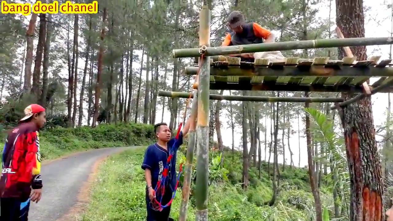 Pembangunan Rumah Pohon Objek Wisata KEBUN PINUS TEGAL TEPUS ...