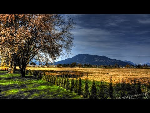 HAP software tutorial in English cooling loads,Autodesk Revit automatic ...