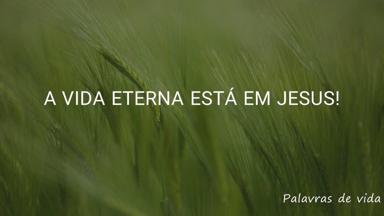 A vida eterna está em Jesus! - YouTube