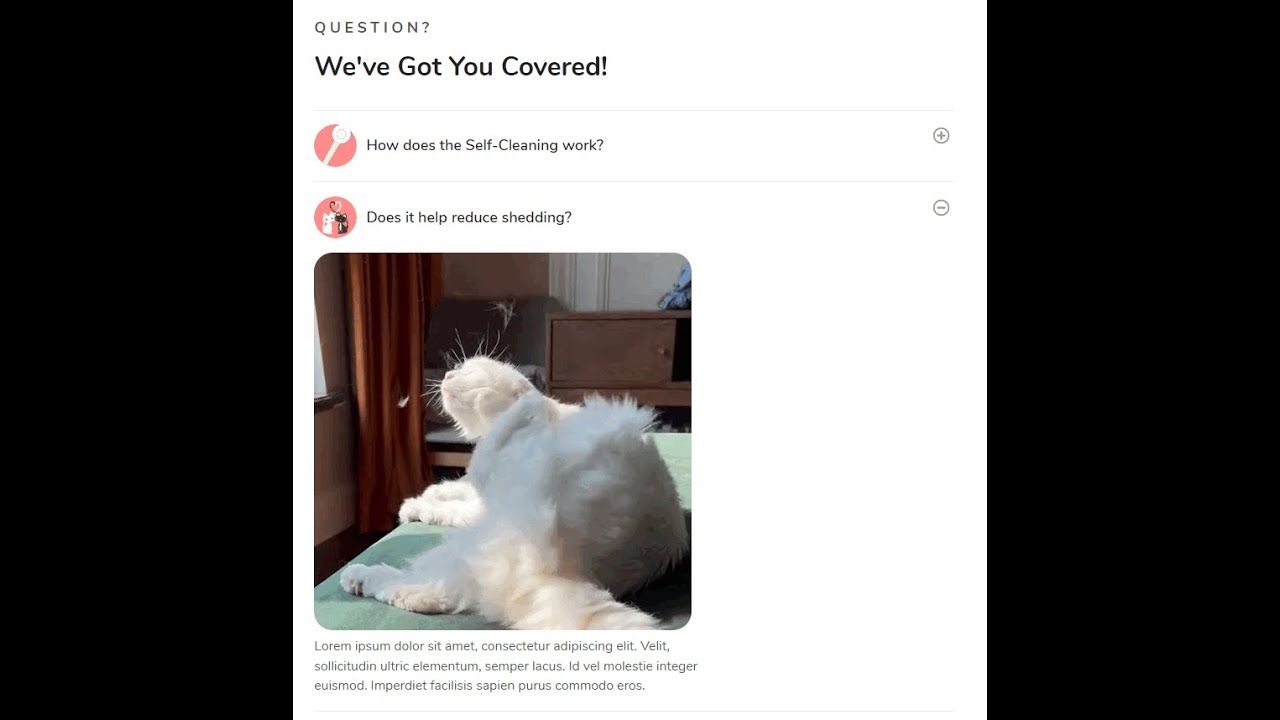 Insert Images And Autoplay Videos Into FAQs Section By Veda Builder Insert Images And Autoplay Videos Into FAQs Section By Veda Builder