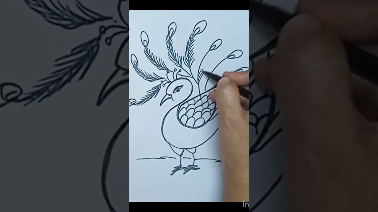 Beautiful peacock easy drawing for kids #yt 🦚 🦚 🦚 - YouTube