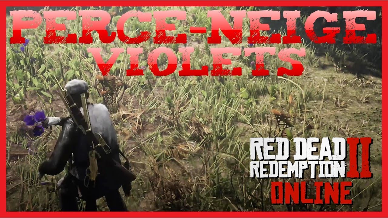 *PERCE-NEIGE VIOLETS RAMASSÉES, EMPLACEMENT*, SUR RDR2 ONLINE ! - YouTube
