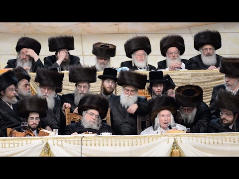 Kaliver Rebbe Sings @ Belzer Sheva Brachos - YouTube