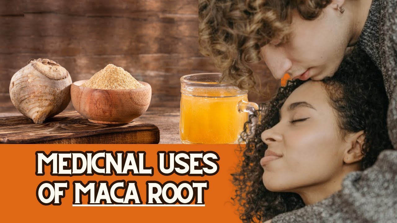 What does MACA ROOT do to the body / Types of Maca Root / How much to ...