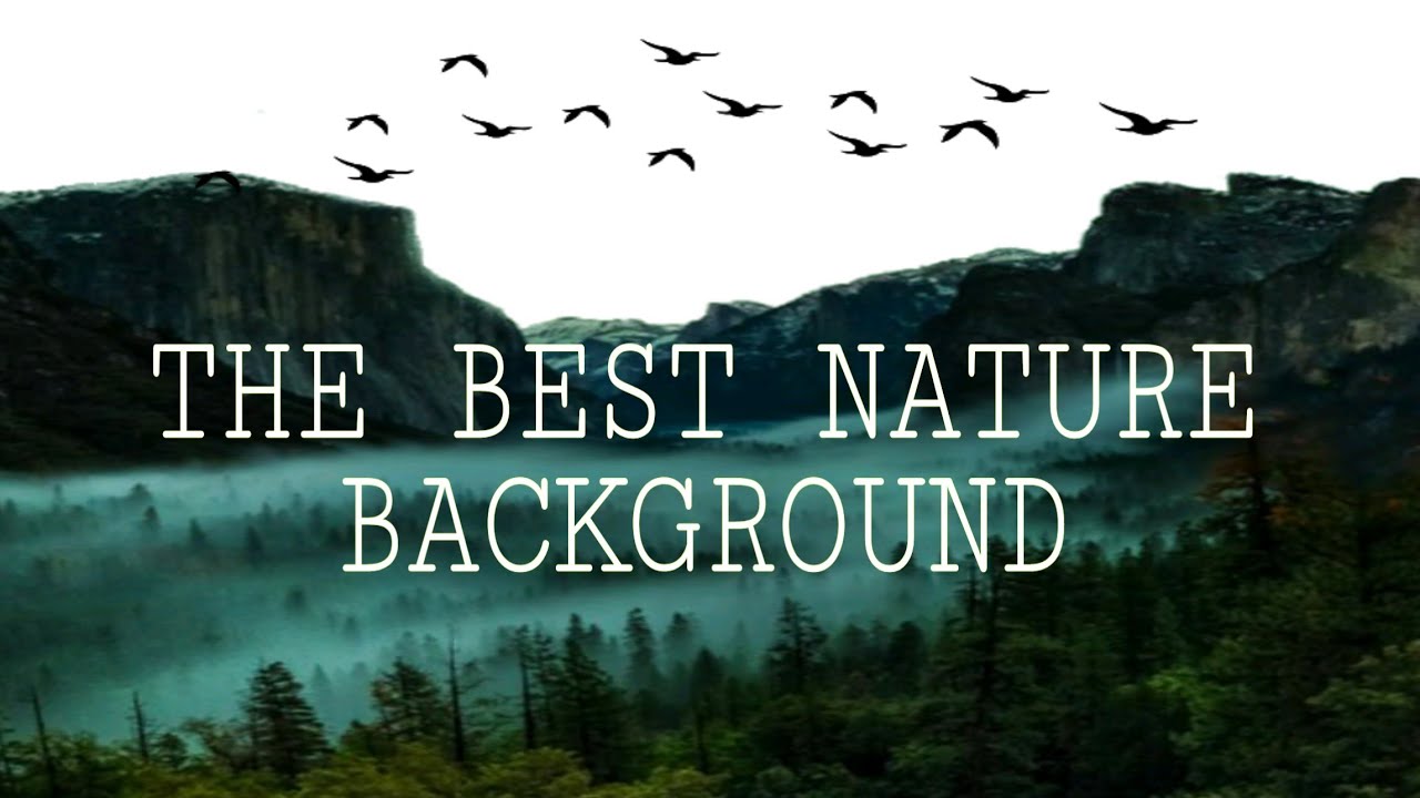The Best Nature - YouTube