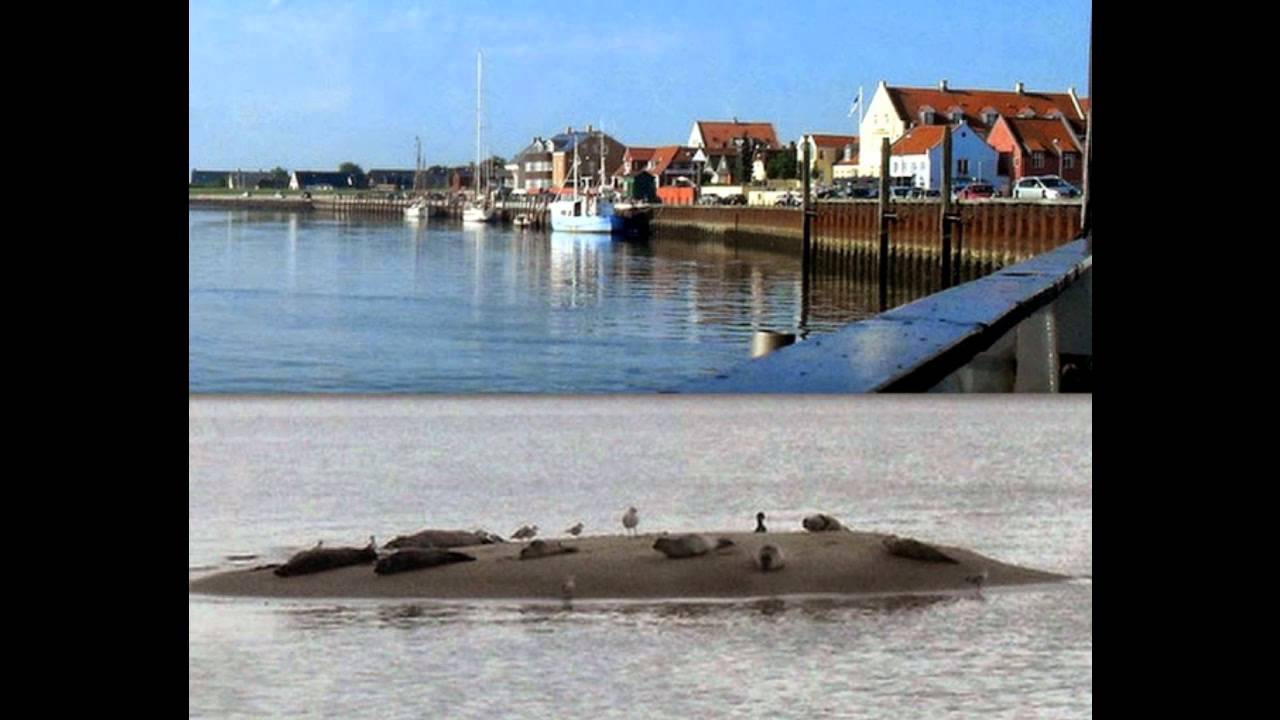 HANNE CARLSEN's Fanø video - YouTube