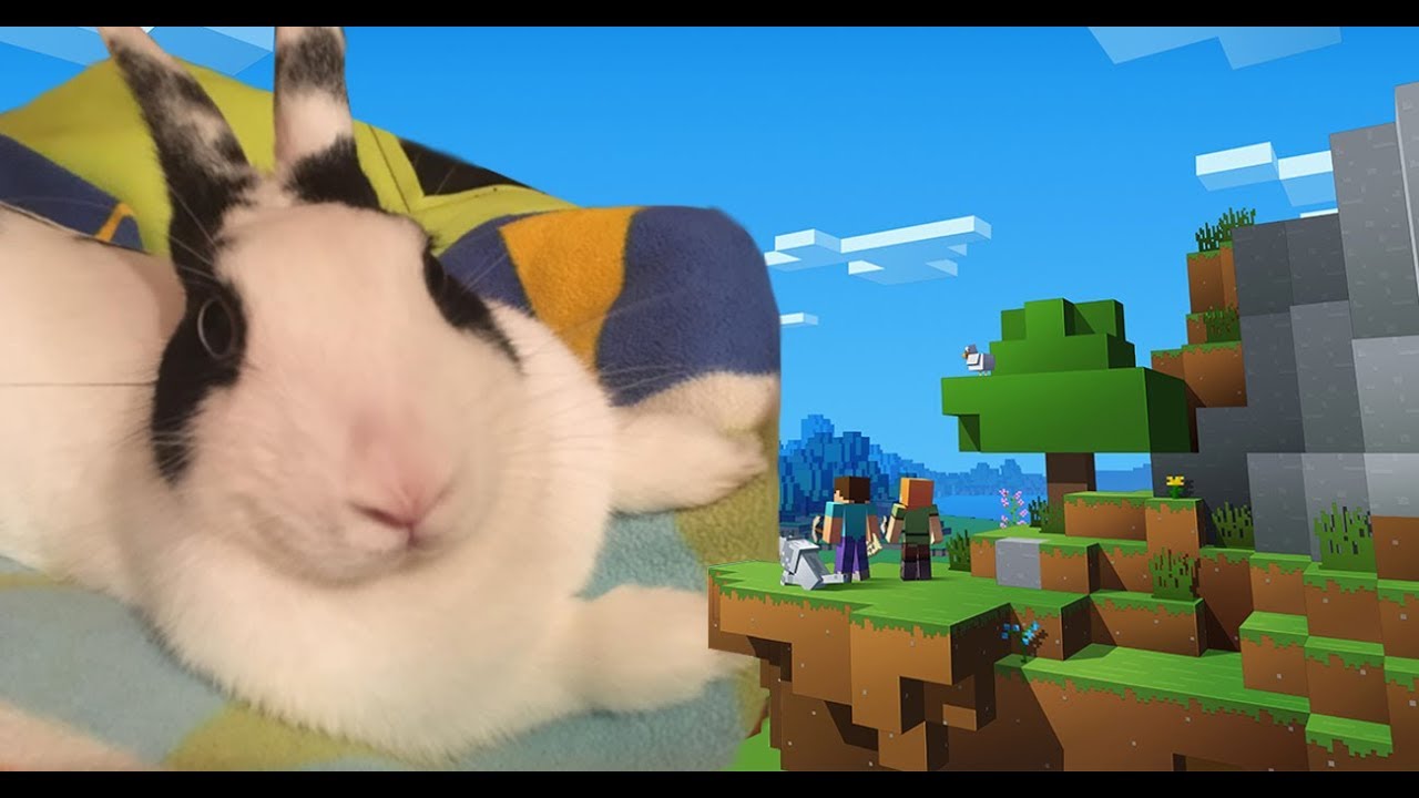 KRÓLIK GRA W MINECRAFT! - YouTube