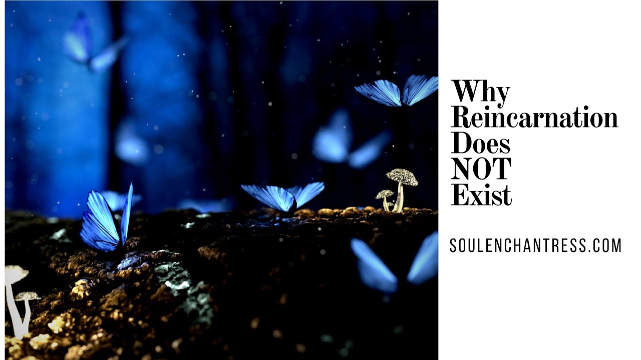 WHY REINCARNATION DOES NOT EXIST | SOUL ENCHANTRESS - YouTube