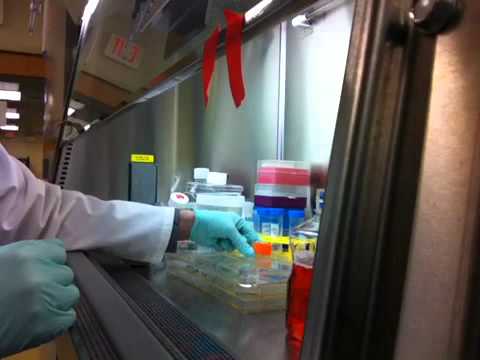 Feeding a double cellstack - YouTube