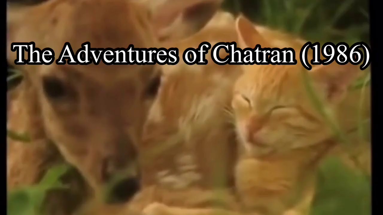The Adventures of Chatran (1986) Carnage Count - YouTube