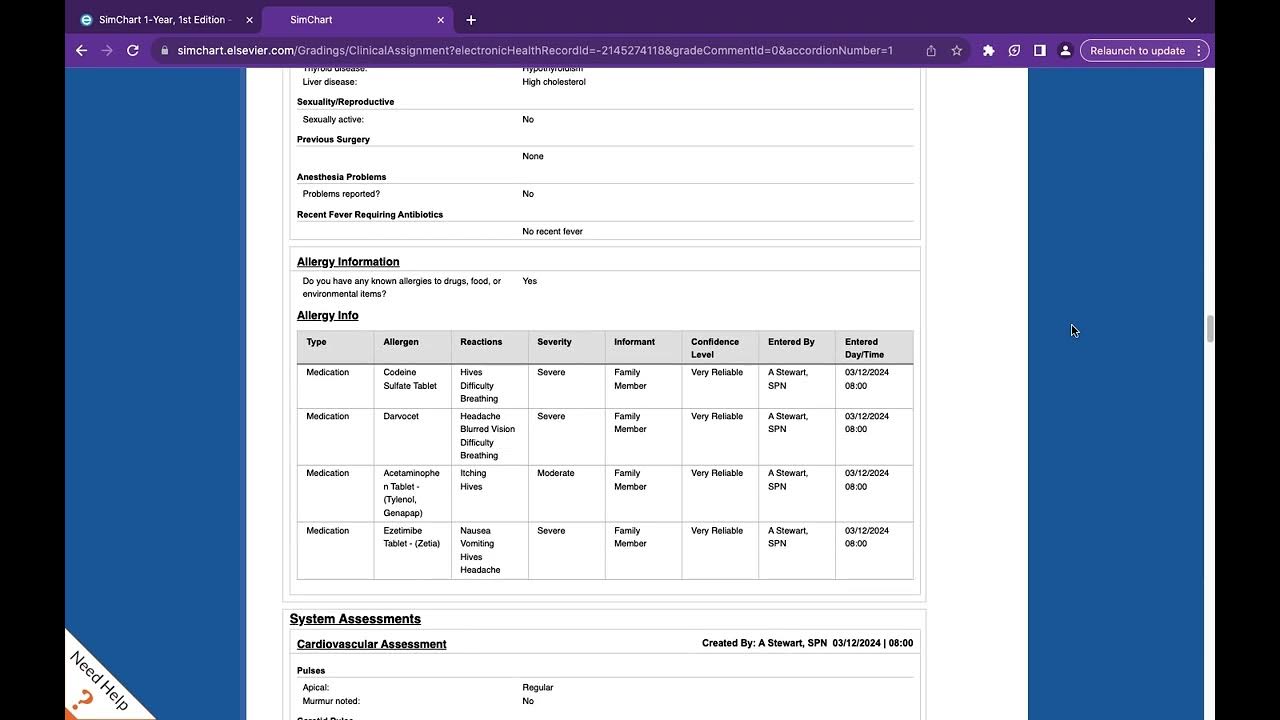 Complete Sim Chart Student Example - YouTube
