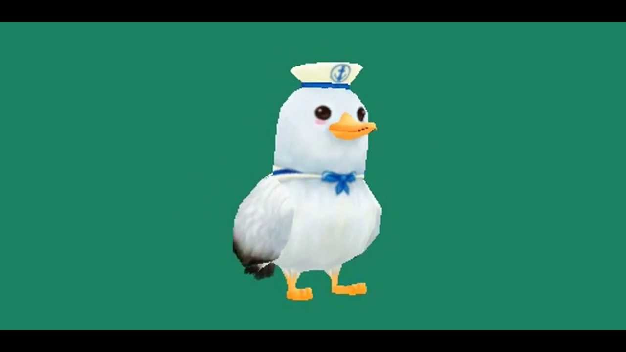 Pet_sailor gull - YouTube