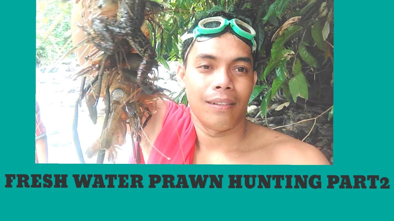 FRESH WATER PRAWN HUNTING PART2 - YouTube