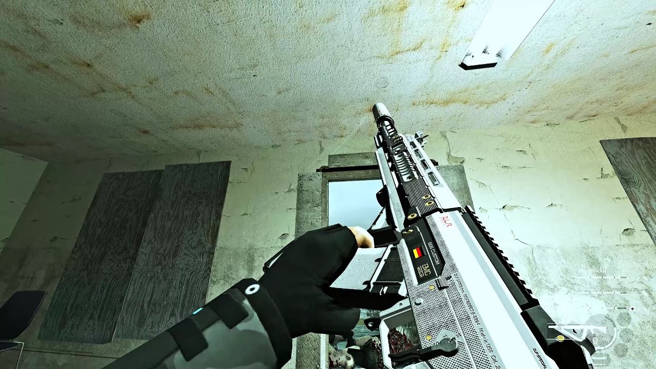 Left 4 Dead 2 Realism Expert Gameplay Grau 556 Alabaster MW2019 Weapon with RNG reload anim ...