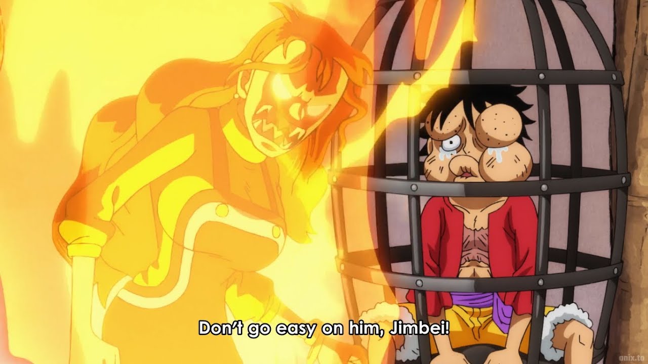 Nami beats luffy and keeps him in a bird cage - YouTube