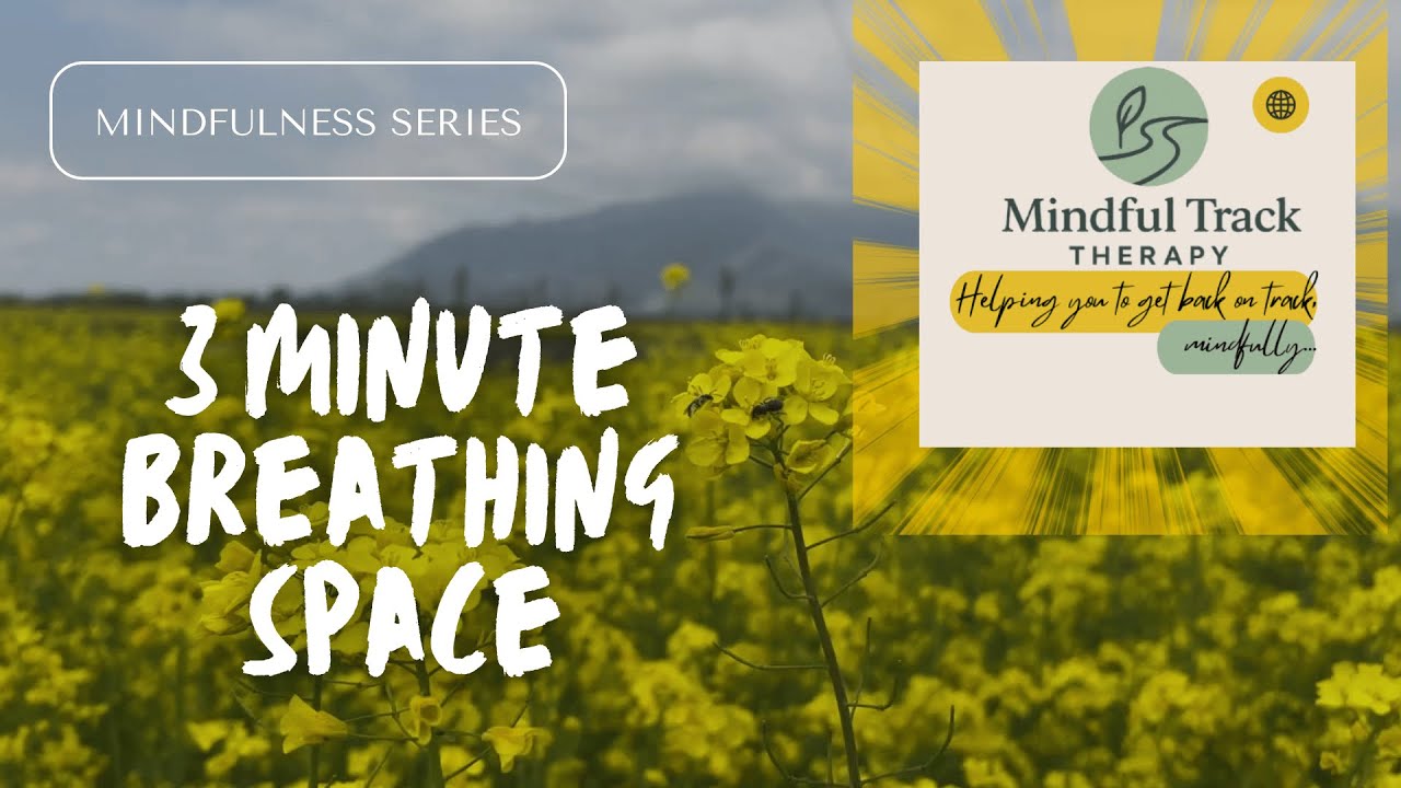 3 Minute Breathing Space by Mindful Track Therapy - YouTube