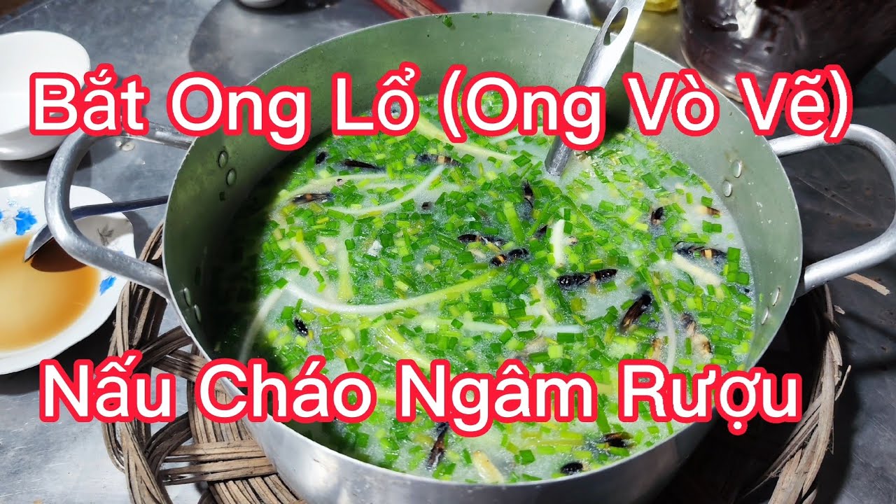 Bắt Tổ Ong Lổ (Ong vò vẽ) Trong Khu Vườn Hoang Về Nấu Cháo Ong Và Ngâm ...