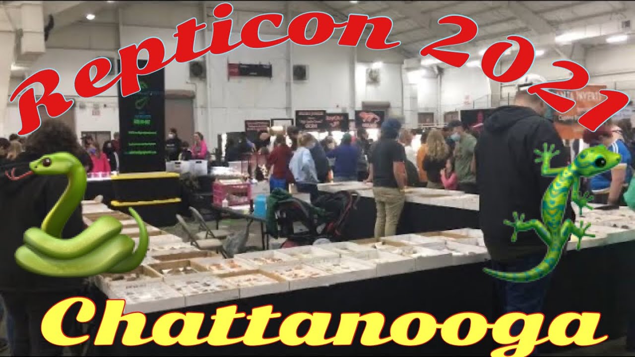Repticon Chattanooga 2021 - Exotics Expo - YouTube