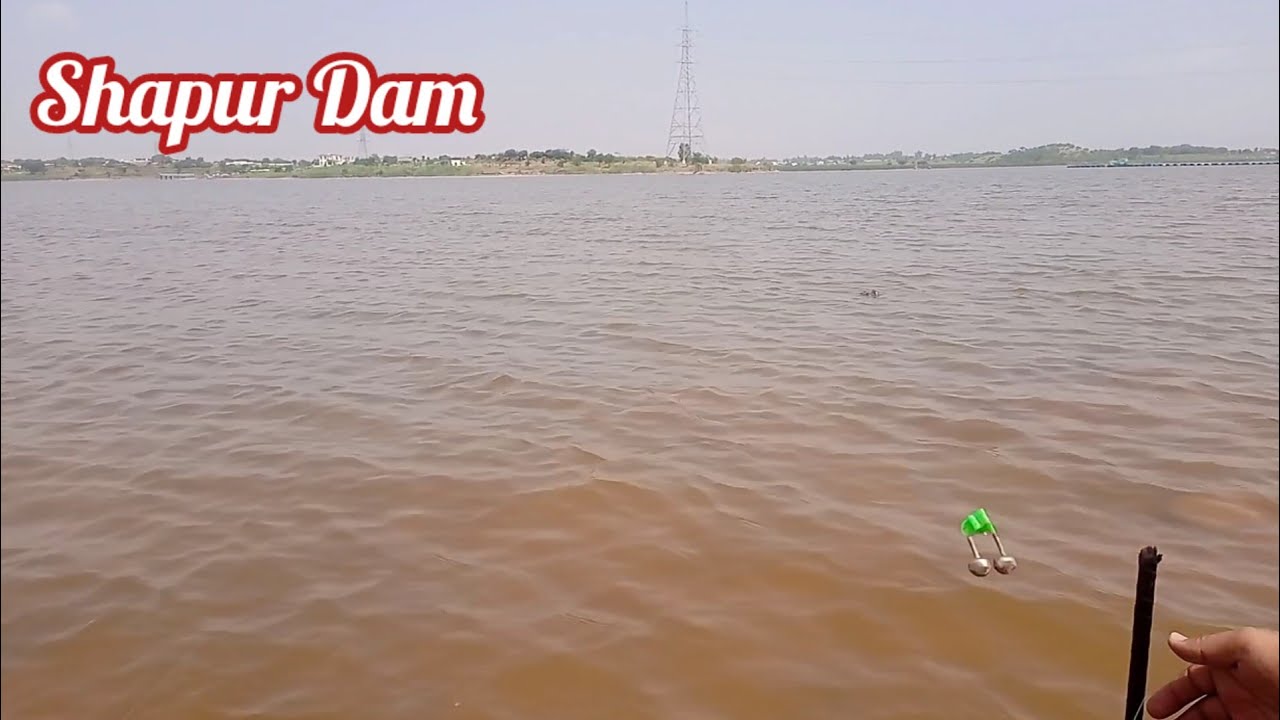 Chaina Fish Live Chal Shapor Dam fishing in Shahpur Dam ایسی چال دیکھ ...