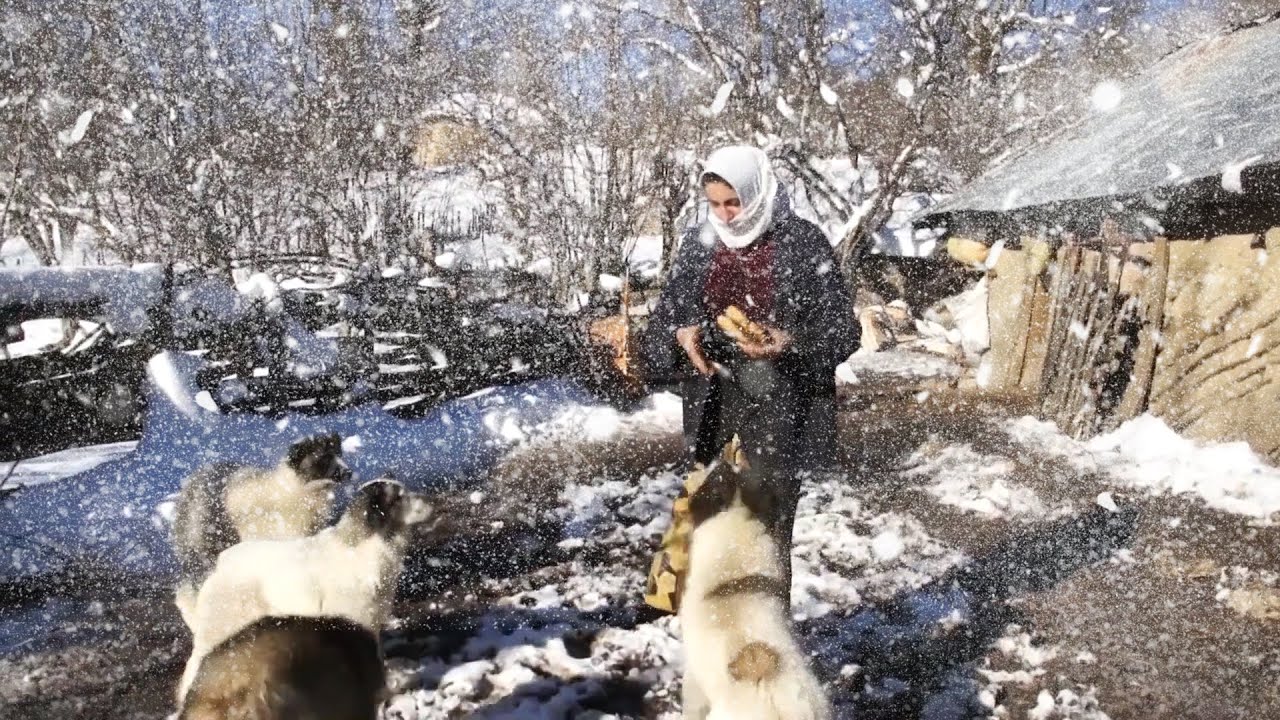 The life of nomadic people in winter - Talesh nomads lifestyle in ...