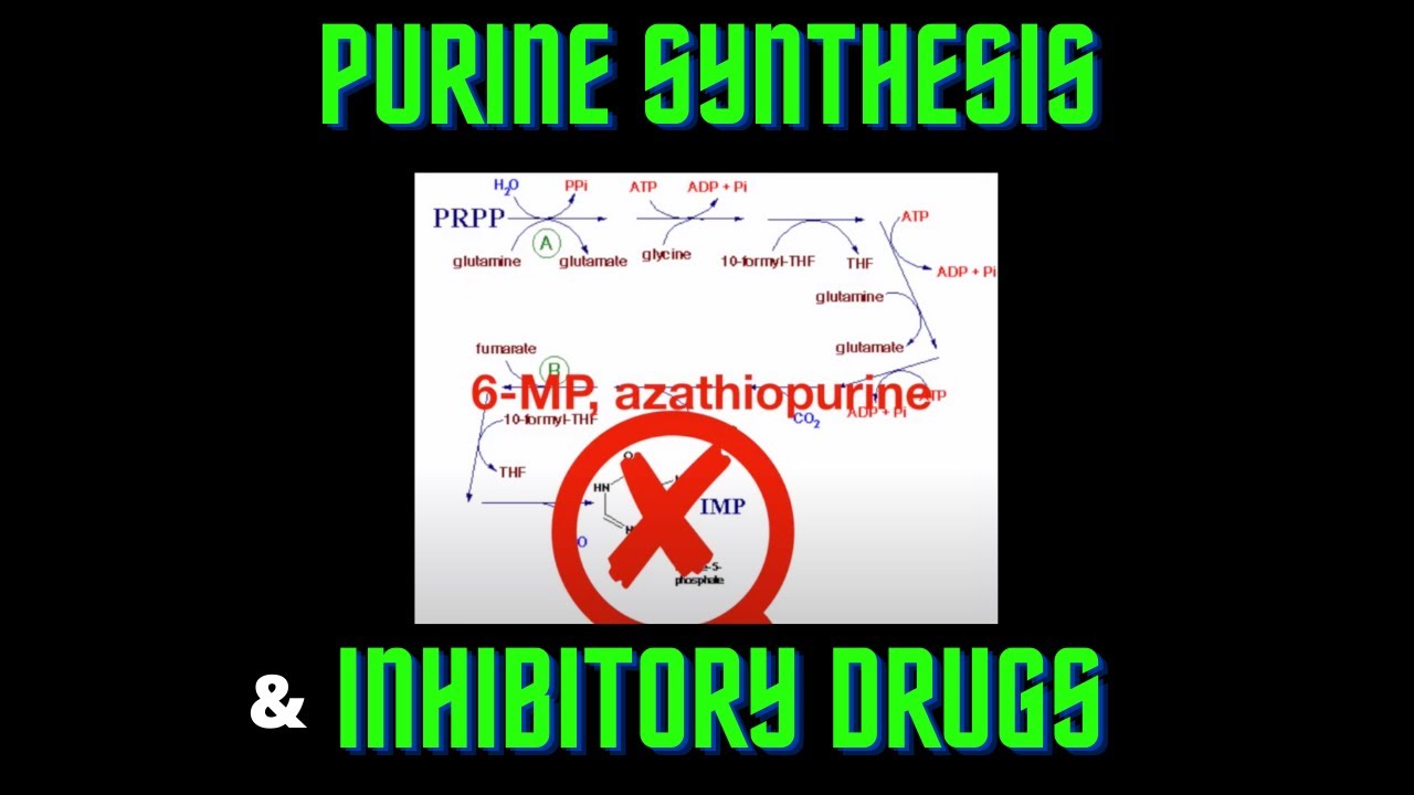 USMLE Step 1 - lesson 4 - Purine base production and inhibitory drugs ...