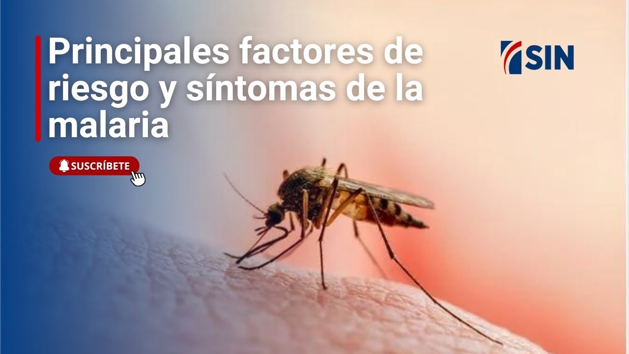 Principales factores de riesgo y síntomas de la malaria - YouTube