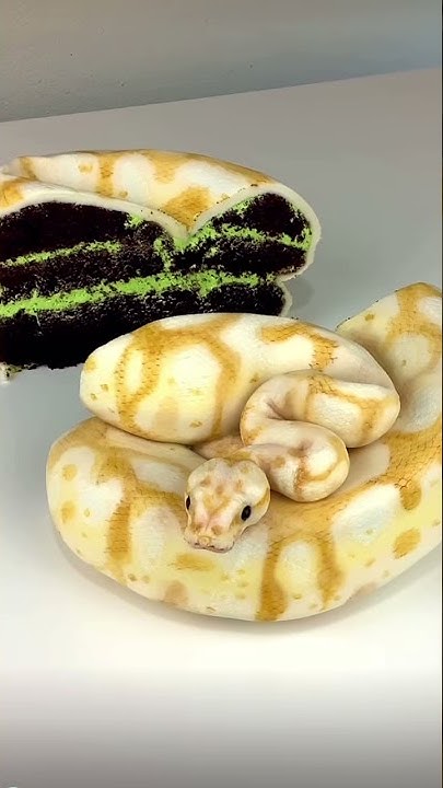 It’s looks so real 😱 #snake #python #cake #cakedesign #cakeart - YouTube
