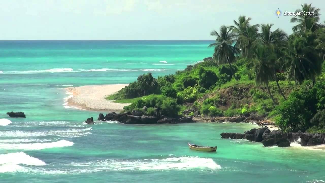 Ocean Is My Potion - Mishka (feat. Jimmy Buffett) - YouTube