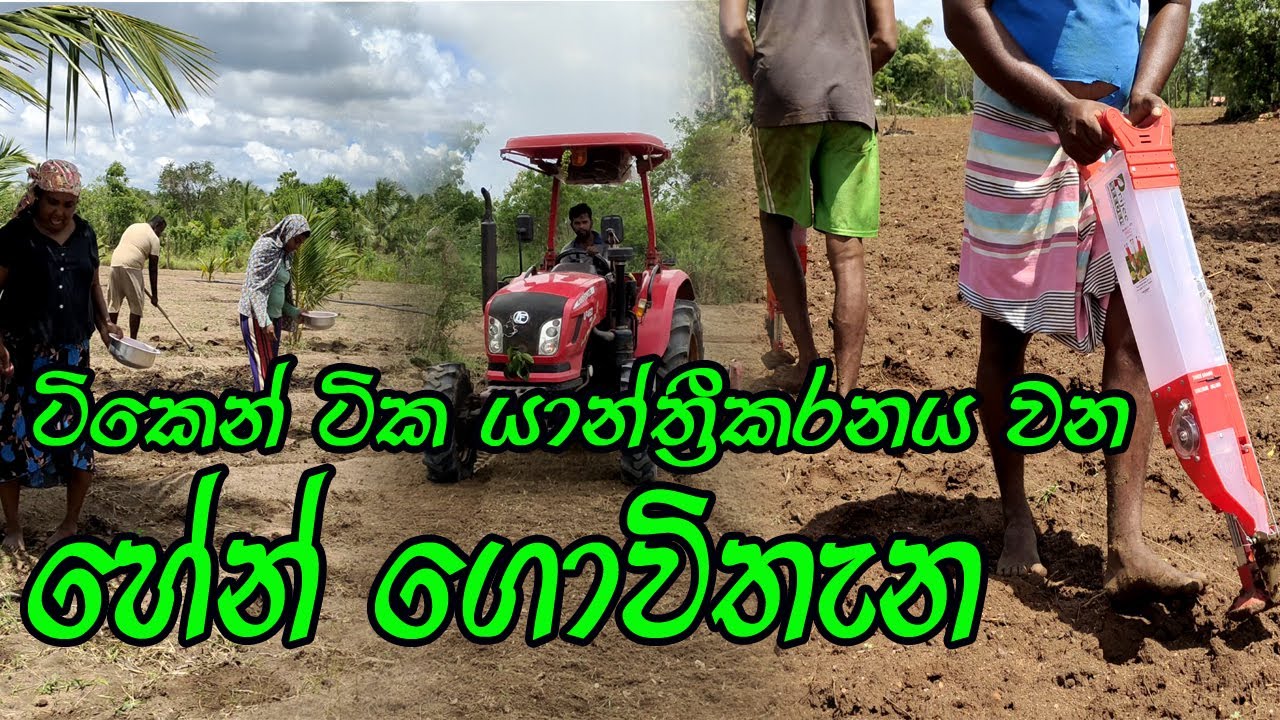 ටිකෙන් ටික යන්ත්‍රීකර්නය වන හේන් ගොවිතැන / Hen govithana / Hen Wagawa ...
