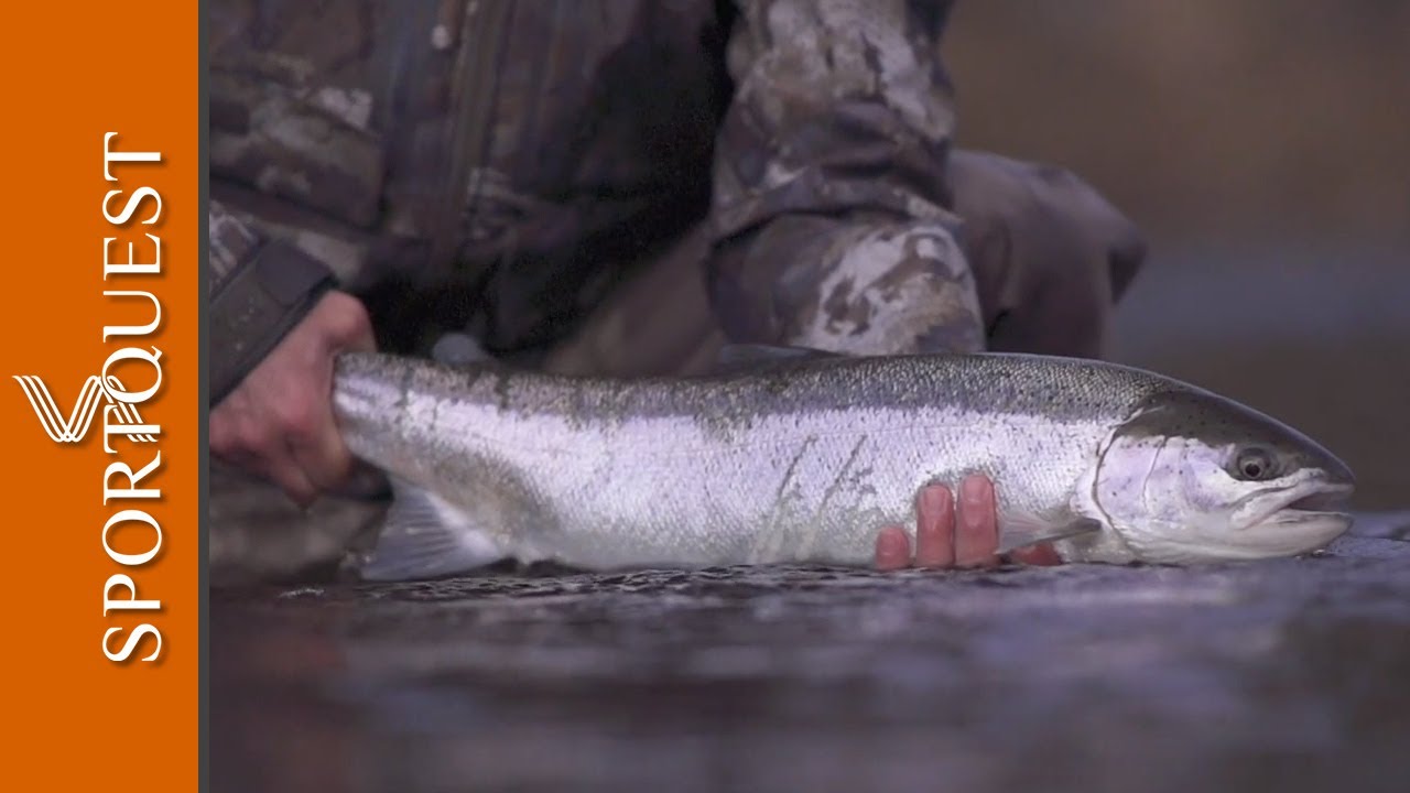 Here Is Why Alaska Steelhead Co Is The Mecca for Steelhead Anglers 🐟 ...