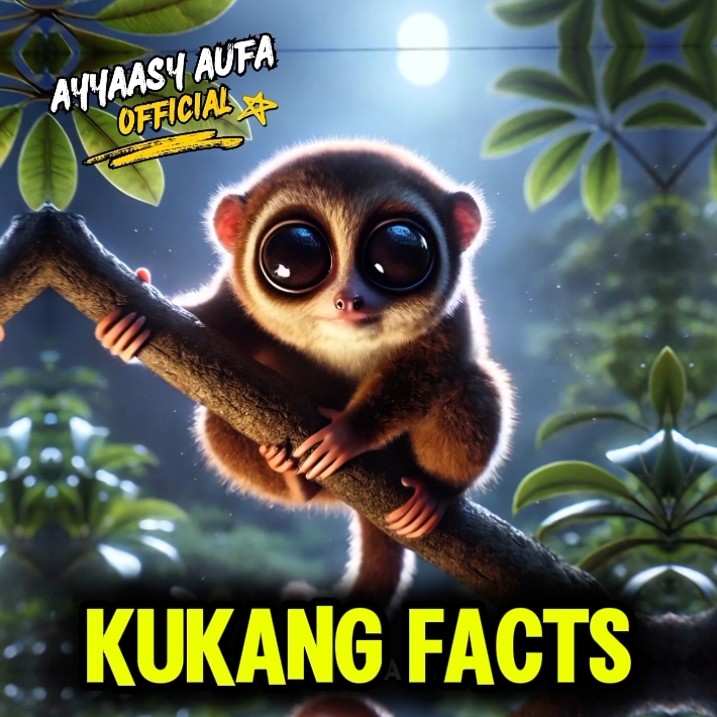 Fakta Kukang #moth #faktamenarik #shorts #animals #diniahewan #insects ...