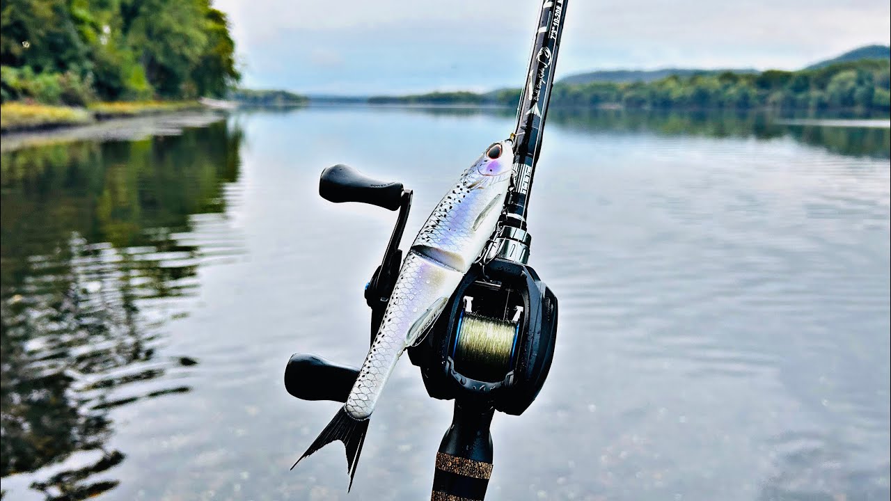 SMALLMOUTH FISHING WITH A 7” NESSIE!!! (Susquehanna River Fall Fishing ...