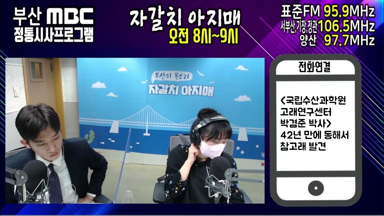 42년 만에 동해서 참고래 발견 [부산MBC 자갈치아지매 221130] - YouTube