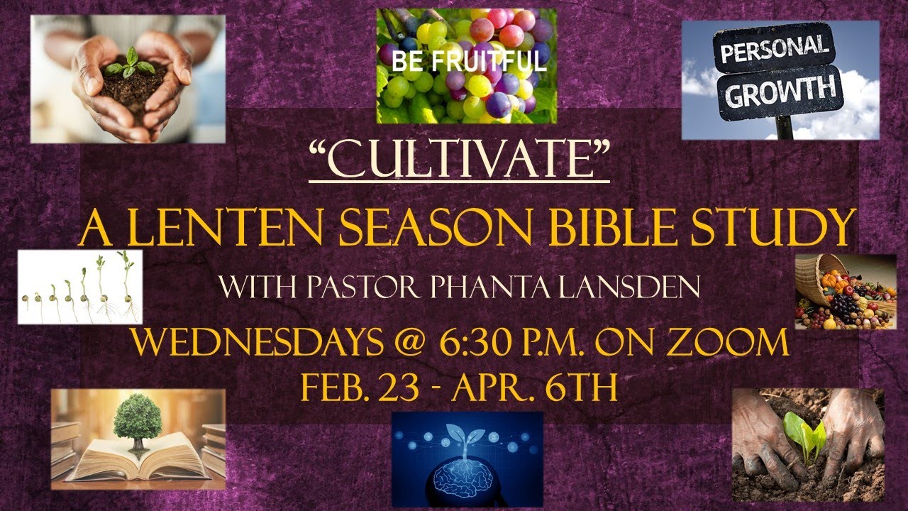 Join us for our "Cultivate" Bible Study - YouTube
