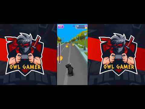 Cat Run Simulator Game Play - YouTube