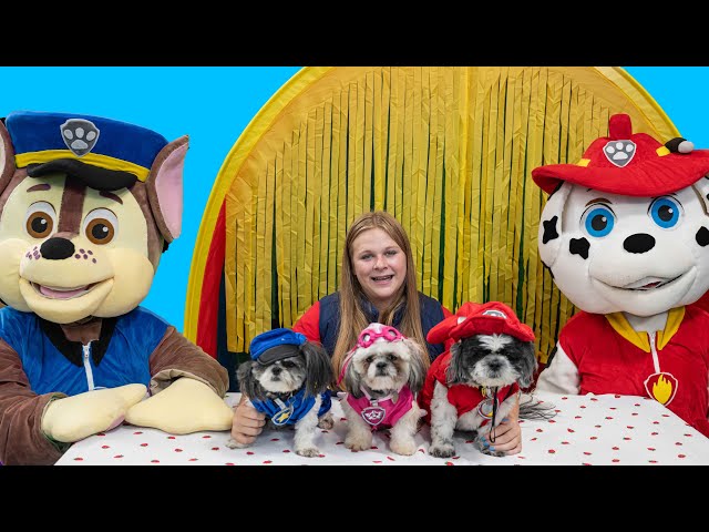 Assistant Turns Dogs Wiggles Waggles and Waffles into Paw Patrol ...