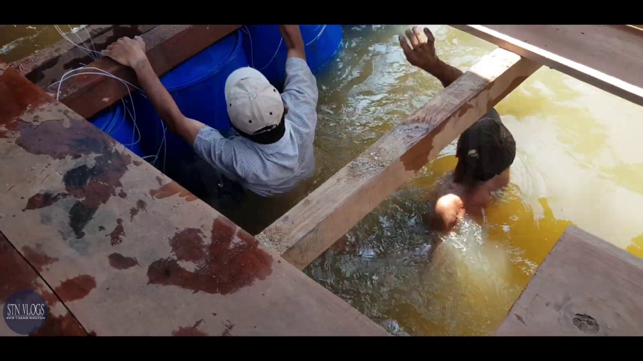 Floating Fish Farm Part 2I Making rafts on the sea I Floating houses ...
