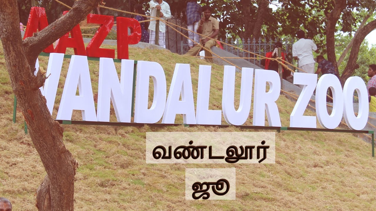 vandalur zoo in chennai | vandalur zoo | arignar anna zoological park ...