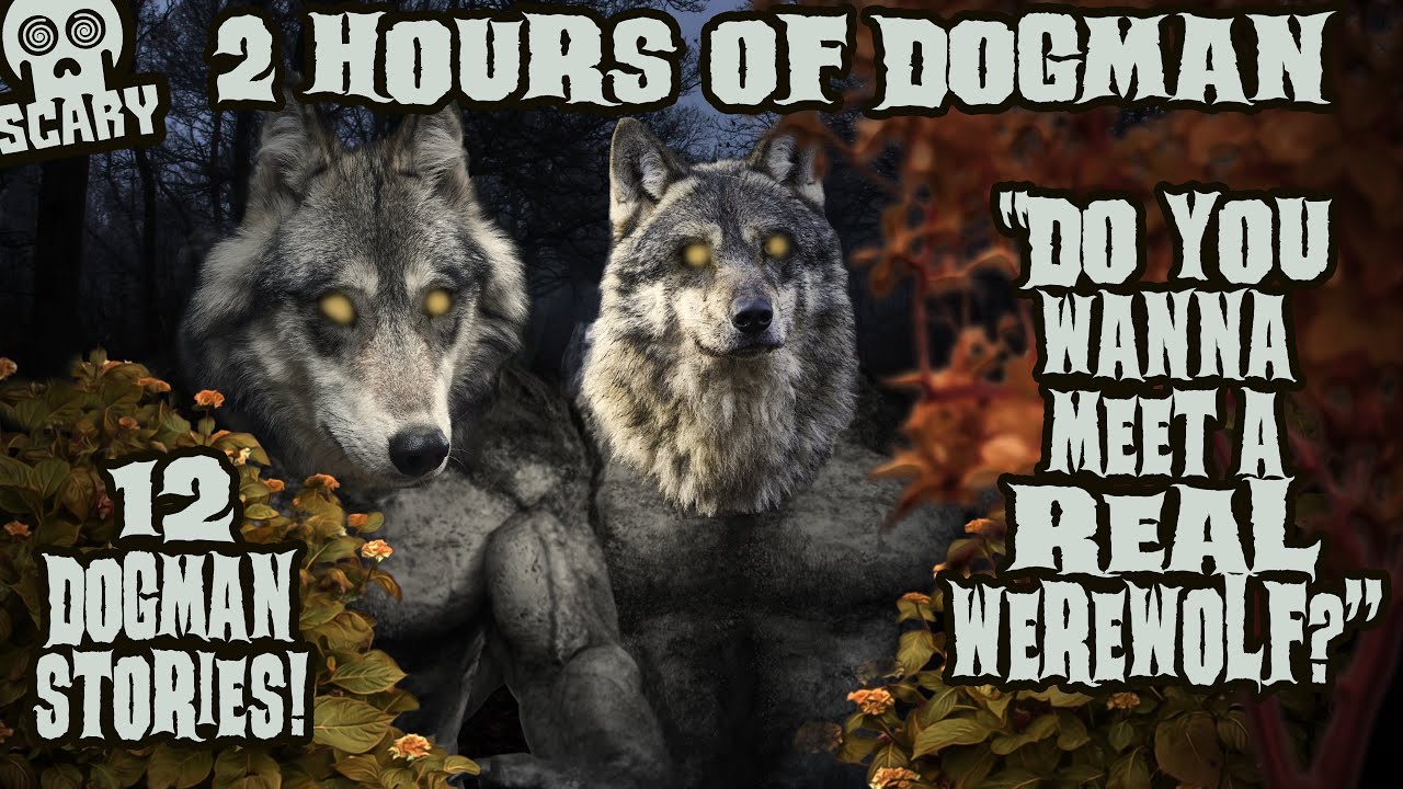 "Wanna Meet a Real Werewolf?" 2 Hours ALL DOGMAN - YouTube