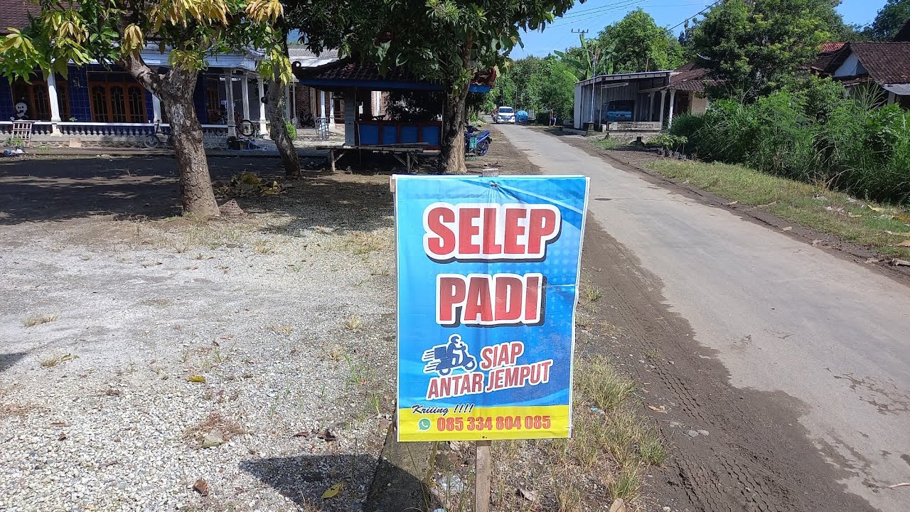 Selepan padi desa jonggol jambon Ponorogo 085334804085 - YouTube