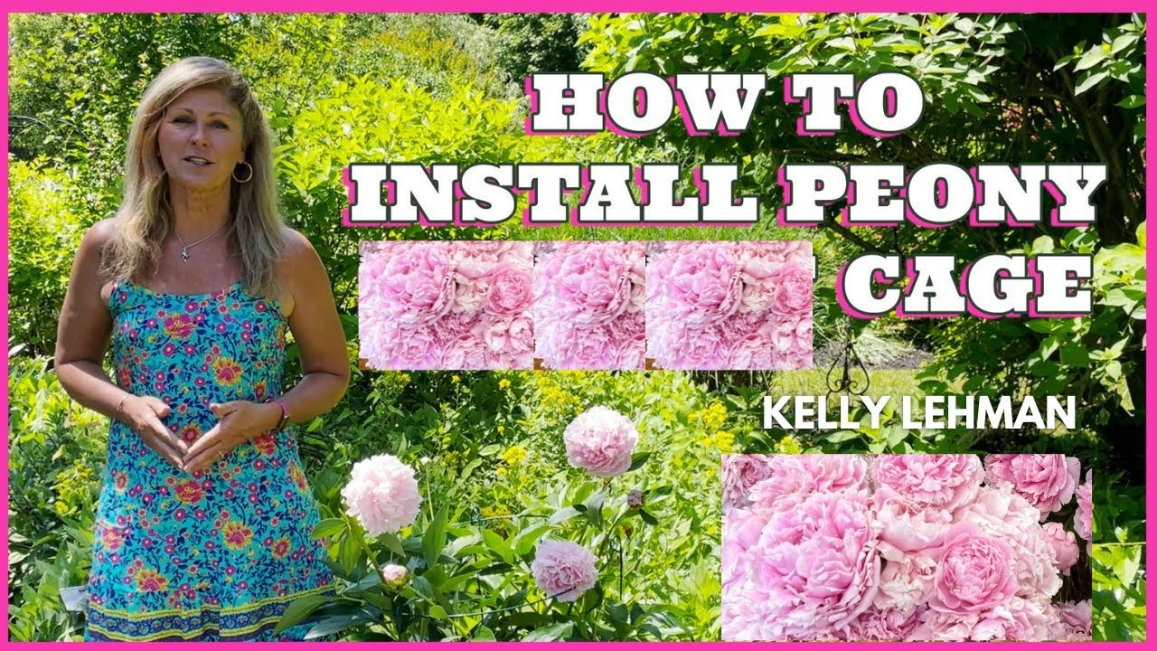 How to Install a Peony Cage - Kelly Lehman - YouTube