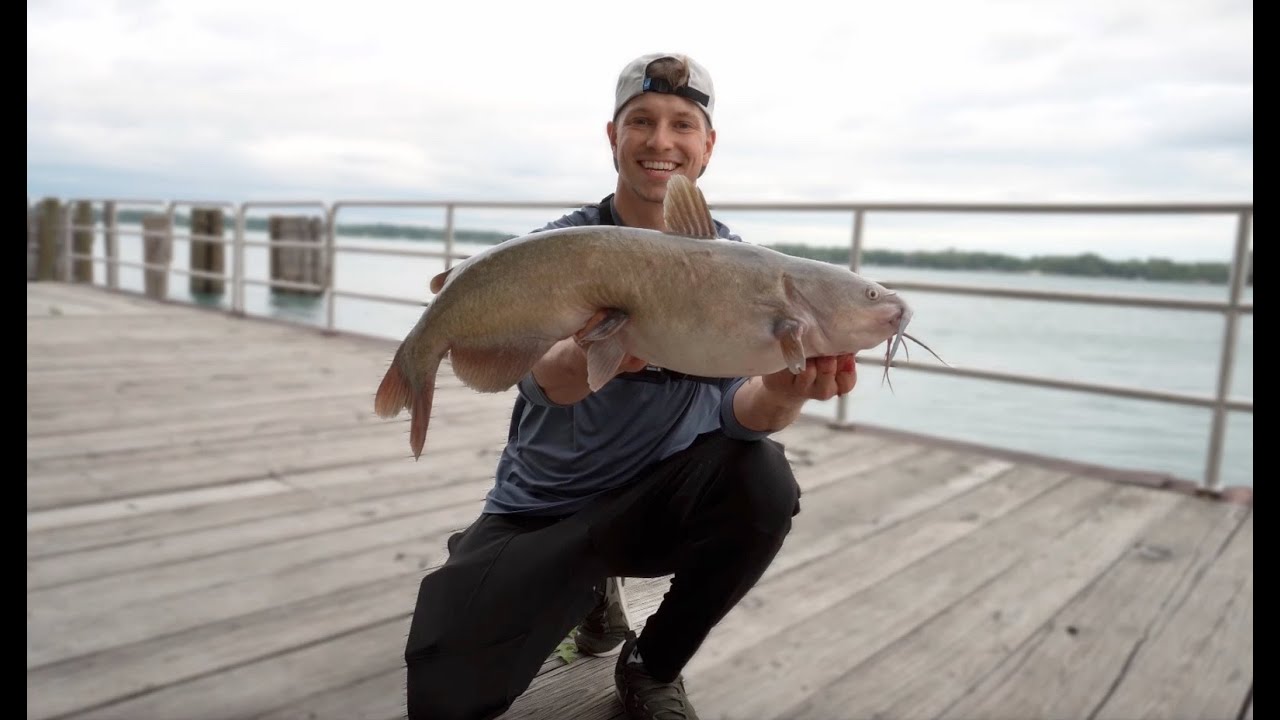 Catfish vs. Smallmouth?? (Catch Clean Cook) - YouTube