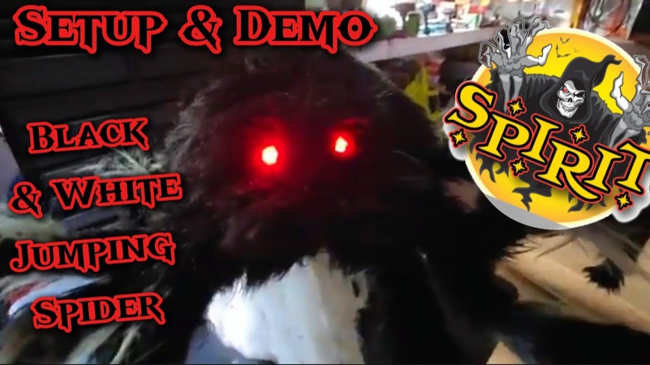 Spirit Halloween Black Jumping Spider Animatronic Setup and Demo! - YouTube