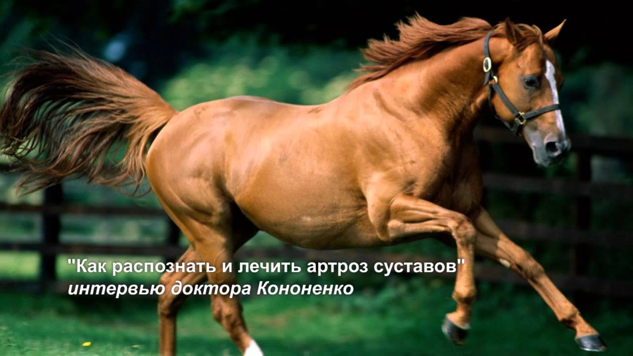 Как распознать и лечить артроз суставов Youtube