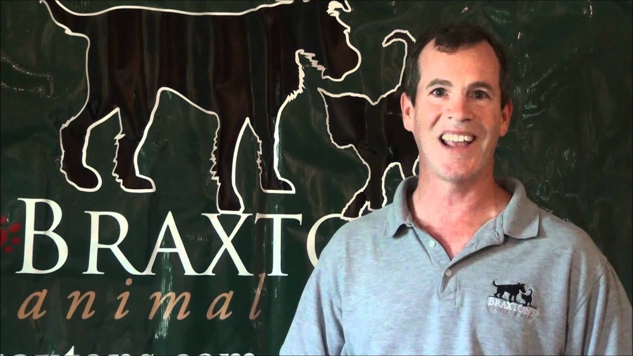 Pet Store Influencers - Braxton's Animal Works - YouTube