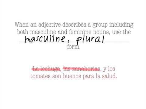 The Plurals of Adjectives (Spanish 1, chapter 3B) - YouTube