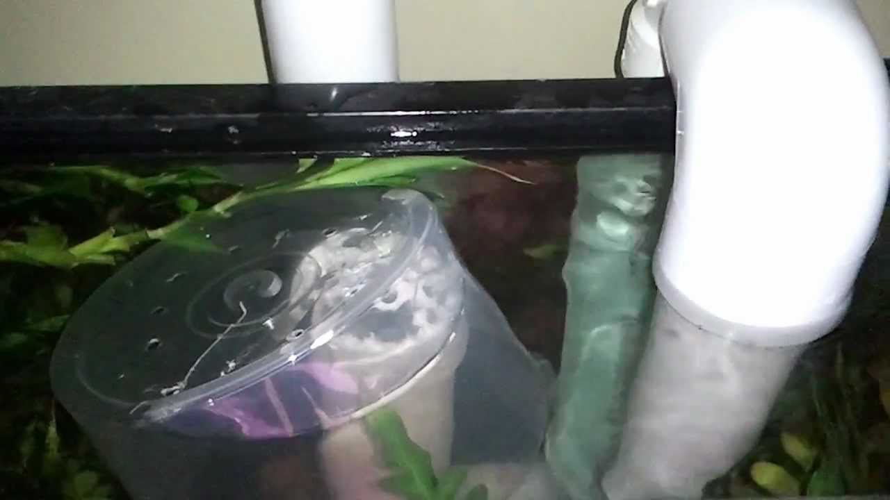 DIY Overflow silencer (ugly but fast and free) - YouTube