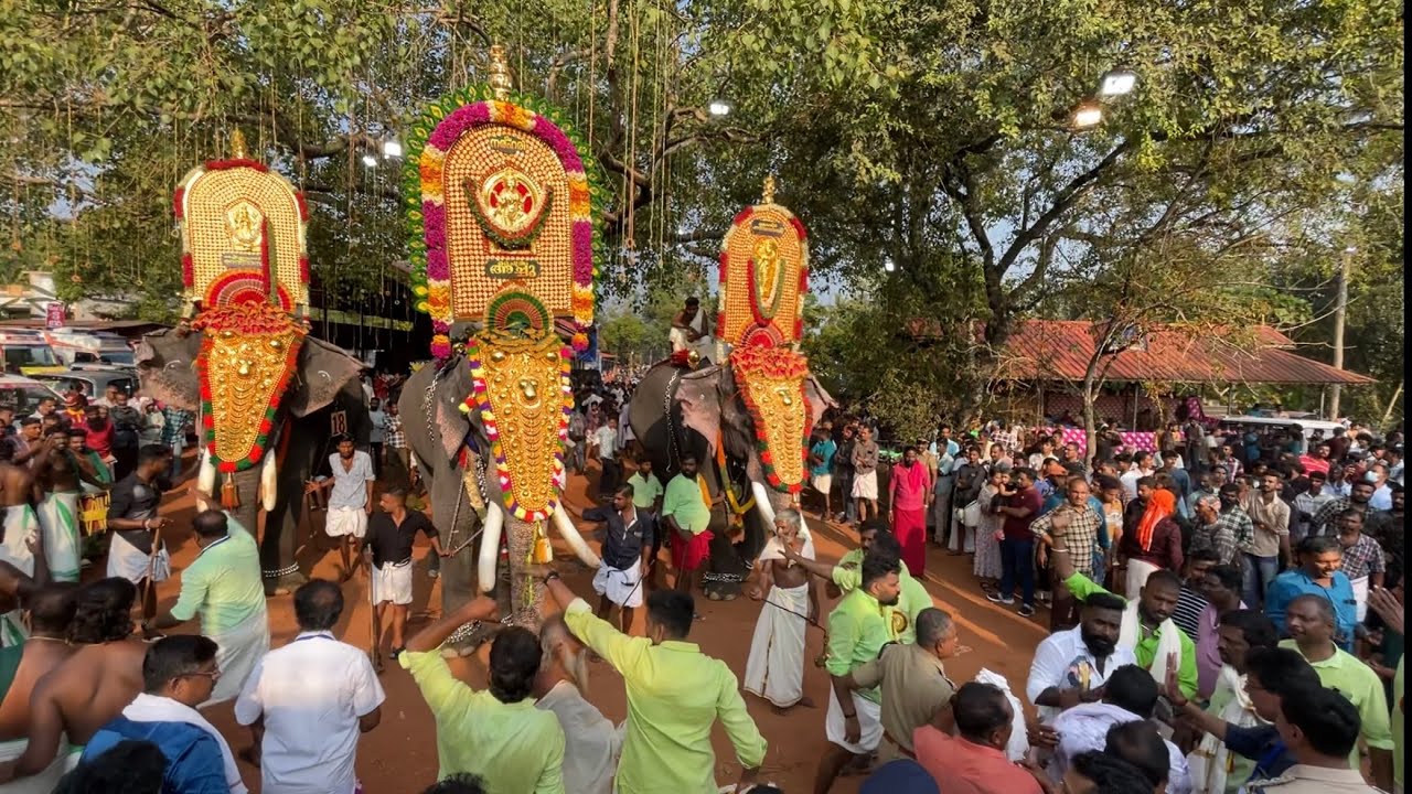 Anayadi Pooram 2024 | Chaithram Achu, Thechikottukavu devidasan ...
